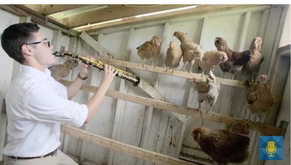 From the Top goes "Ku Ku" for Chickens & Saxophone - From the Top